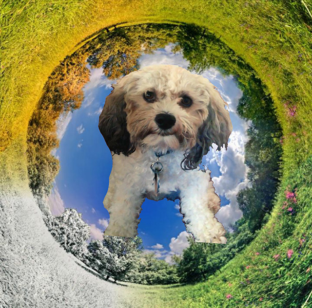A Walk in the Sunshine – Unstuck Living